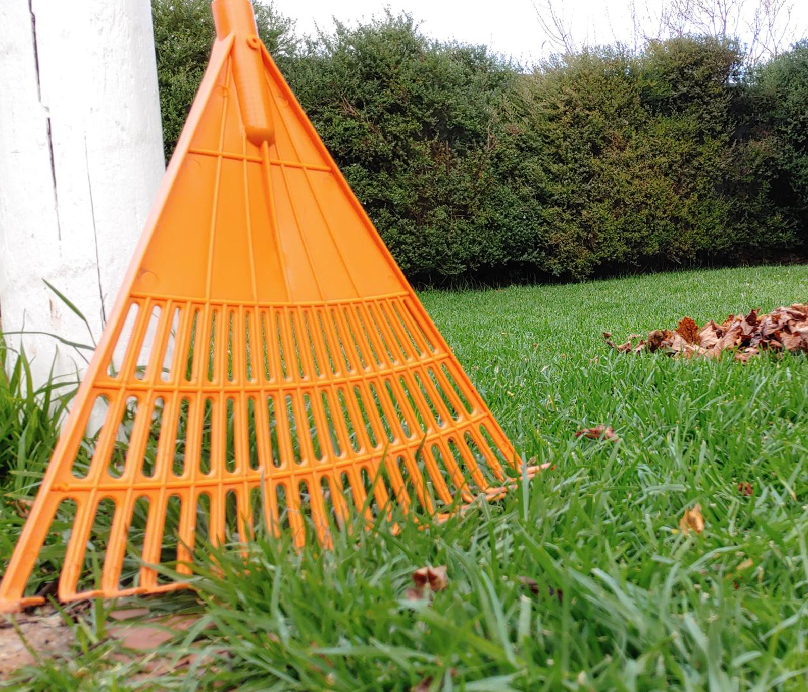 Pope Products | leaf-rake-1010928